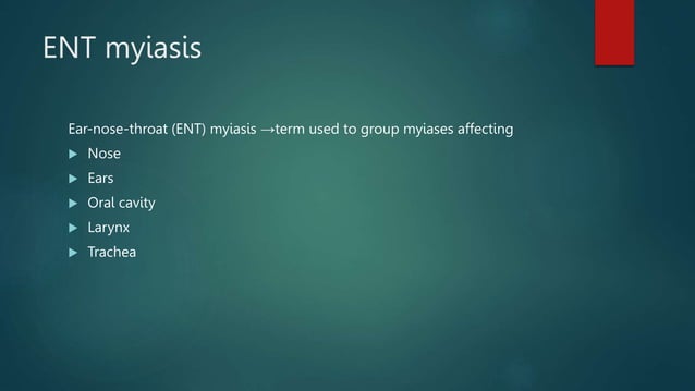 Myiasis in Ear Nose Throat and HNS .pptx