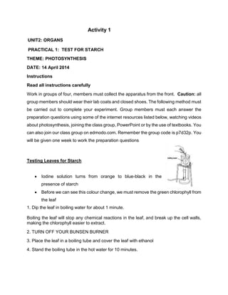 testing for starch actuvity | DOCX