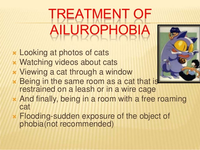 Ailurophobia