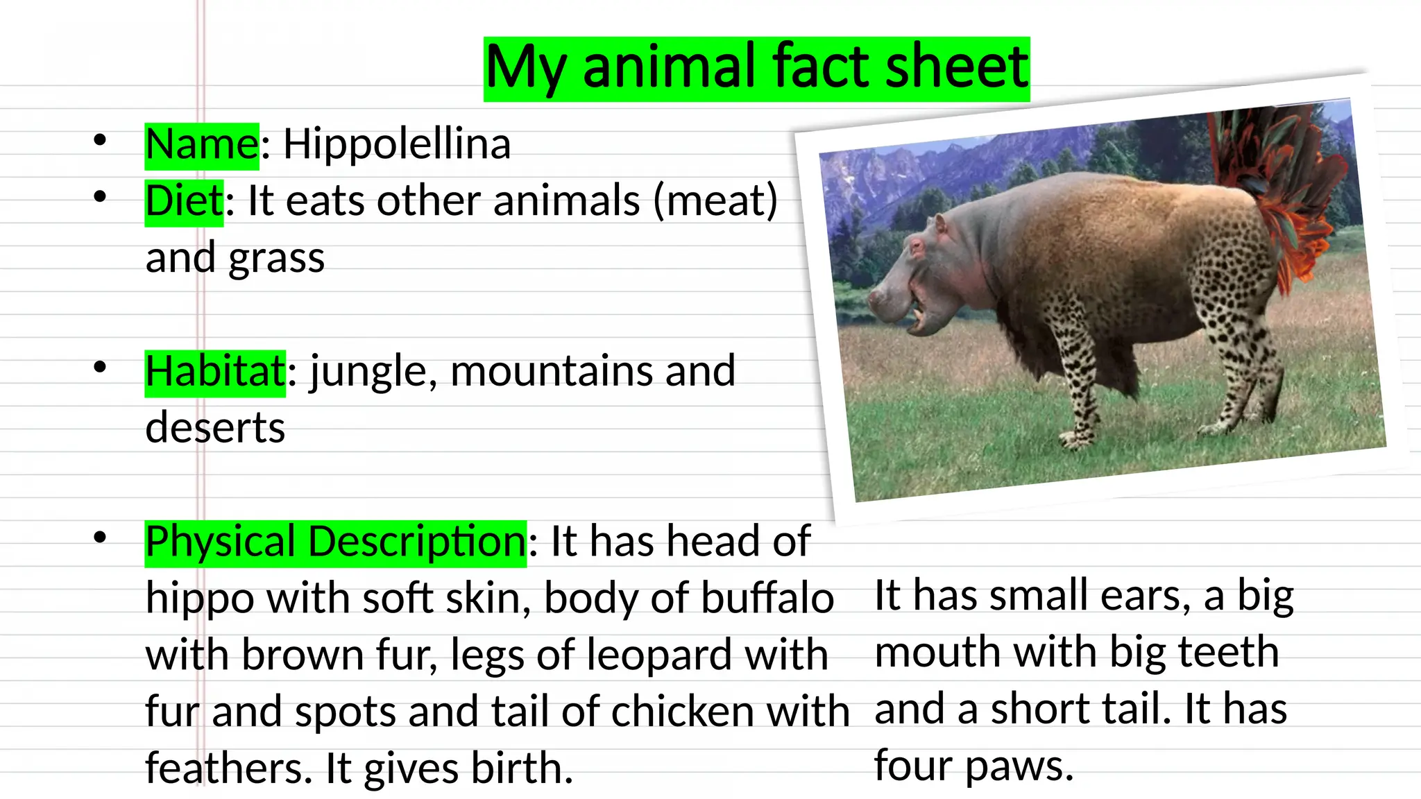 My animal fact sheet, ejemplo de actividad para niños | PPT