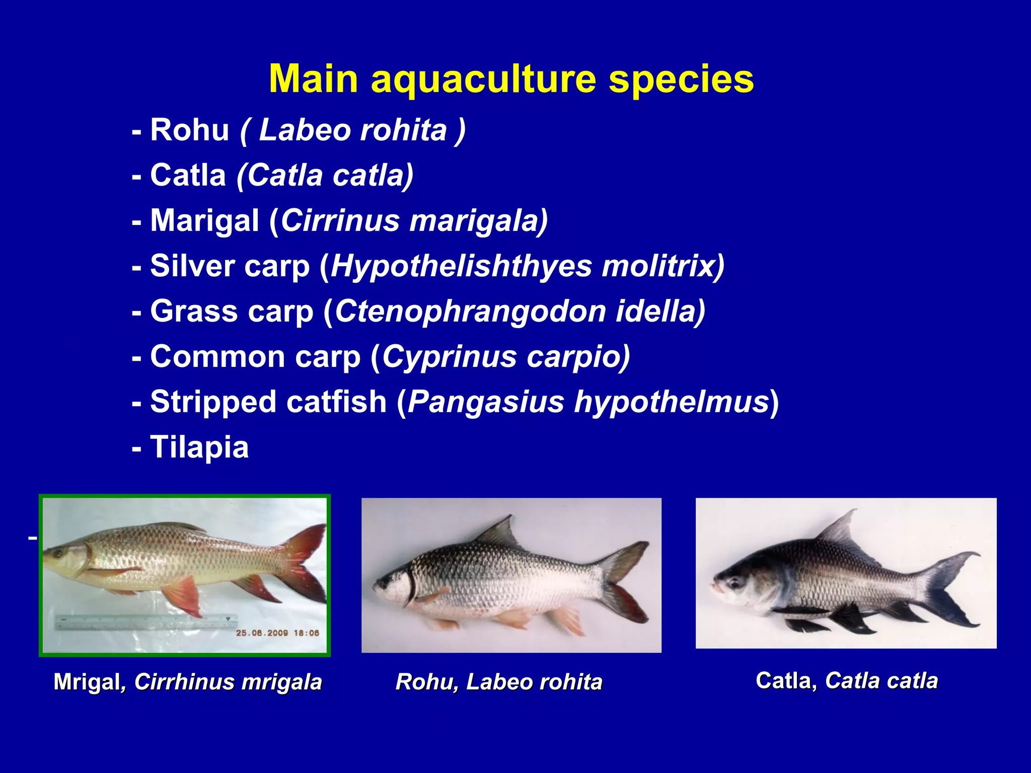 Fisheries and Finfish Aquaculture in Myanmar. By San Aung, Nilar Shein ...