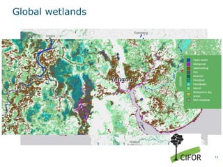 Developing MRV systems for REDD+ | PPT
