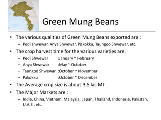 Myanmar The Golden Land - Mr. Shyam Narsaria | PPTX