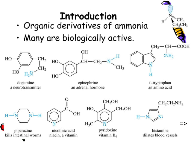 Aromatic amine ppt | PPT