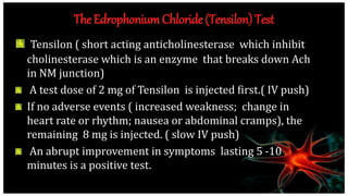 Myasthenia gravis | PPTX | Thyroid Disorders | Endocrine and Metabolic ...