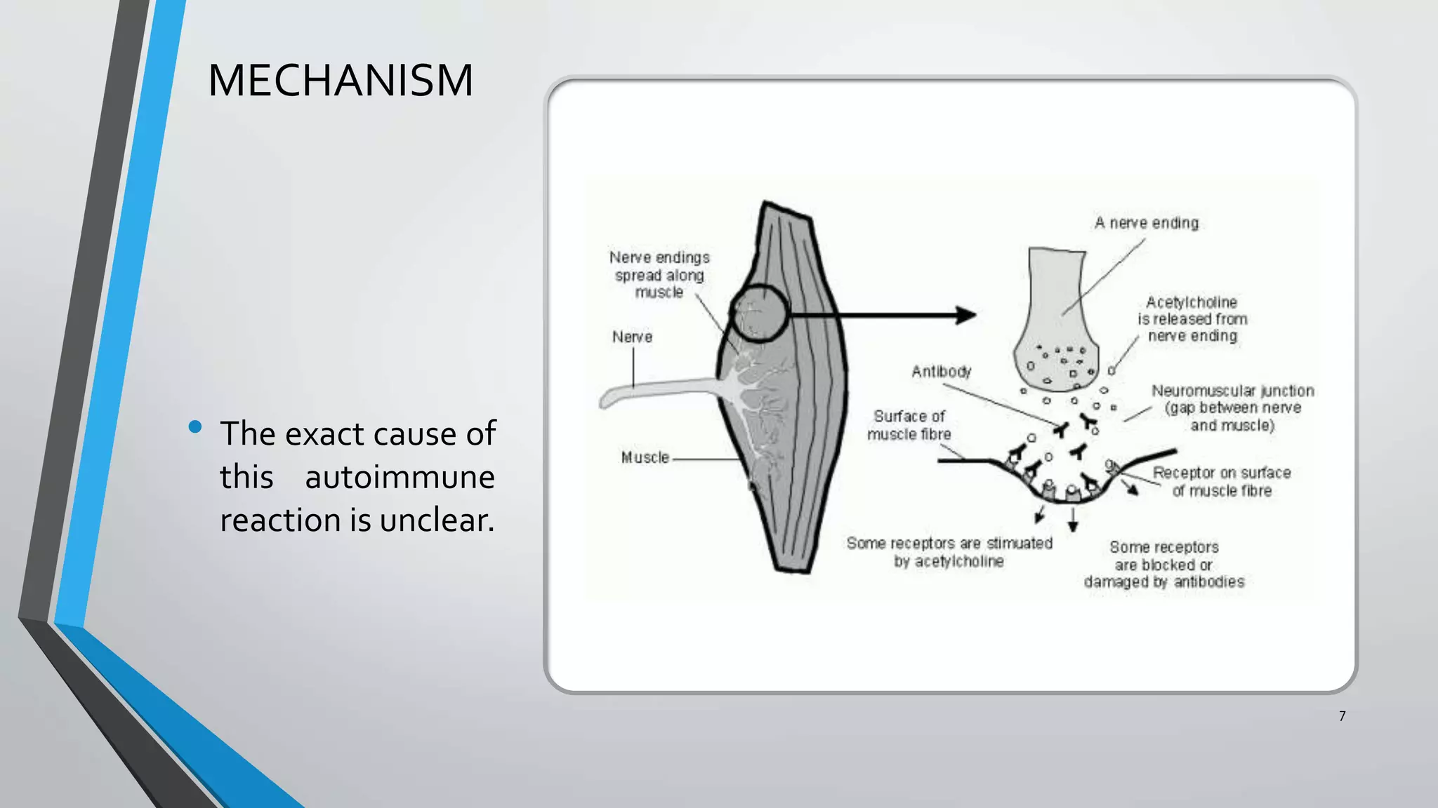 Myasthenia gravis | PPT