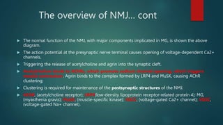 Myasthenia Gravis.pptx | Free download