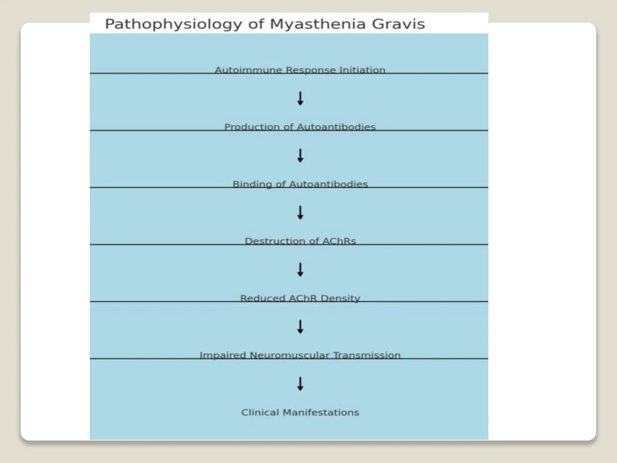 MYASTHENIA GRAVIS: etiology, pathophysiology, clinical manifestations ...
