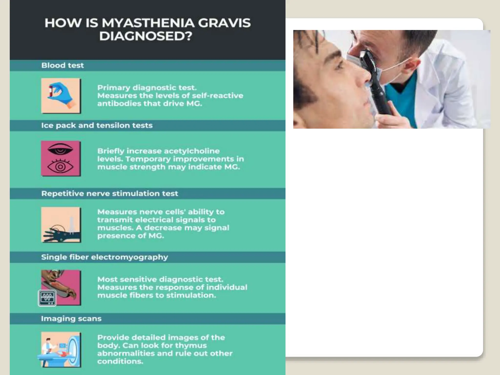 MYASTHENIA GRAVIS: etiology, pathophysiology, clinical manifestations ...