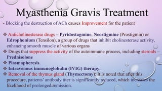 Myasthenia Gravis - Rivin | PPTX | Physical Therapy | Wellness