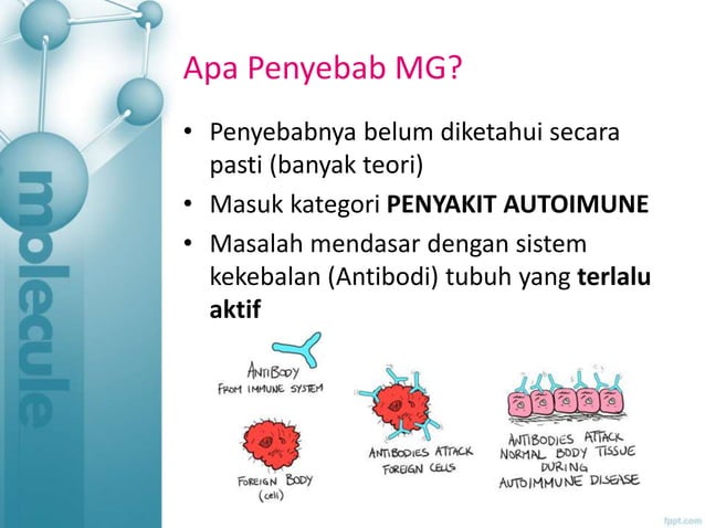 Myasthenia gravis gathering | PPTX