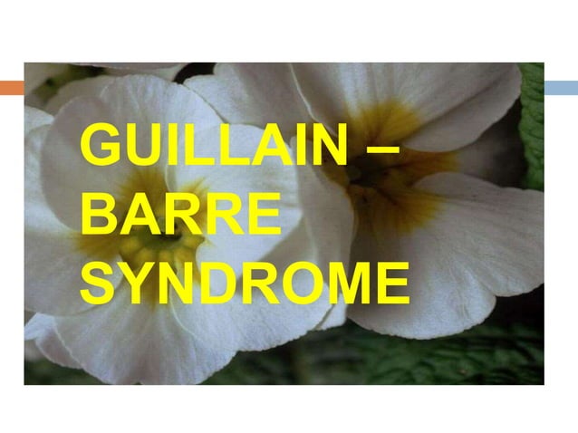 Myasthenia + gullian bare syn | PPT