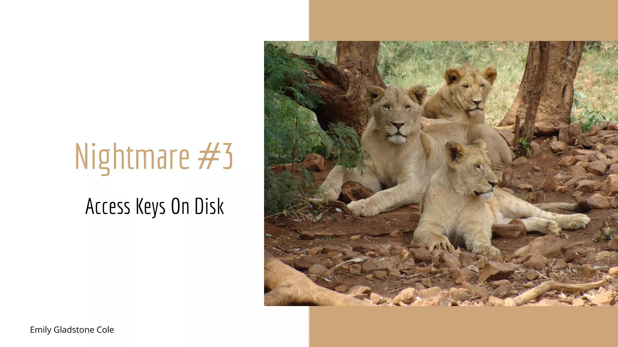 My AWS Access Key Nightmares... and Solutions | PPT | Free Download