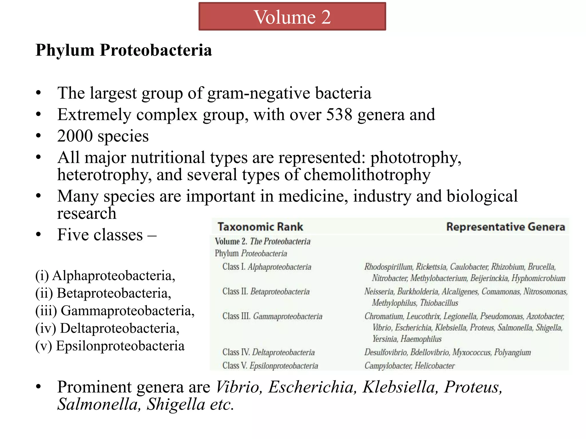 Bacterial Taxonomy | PPTX