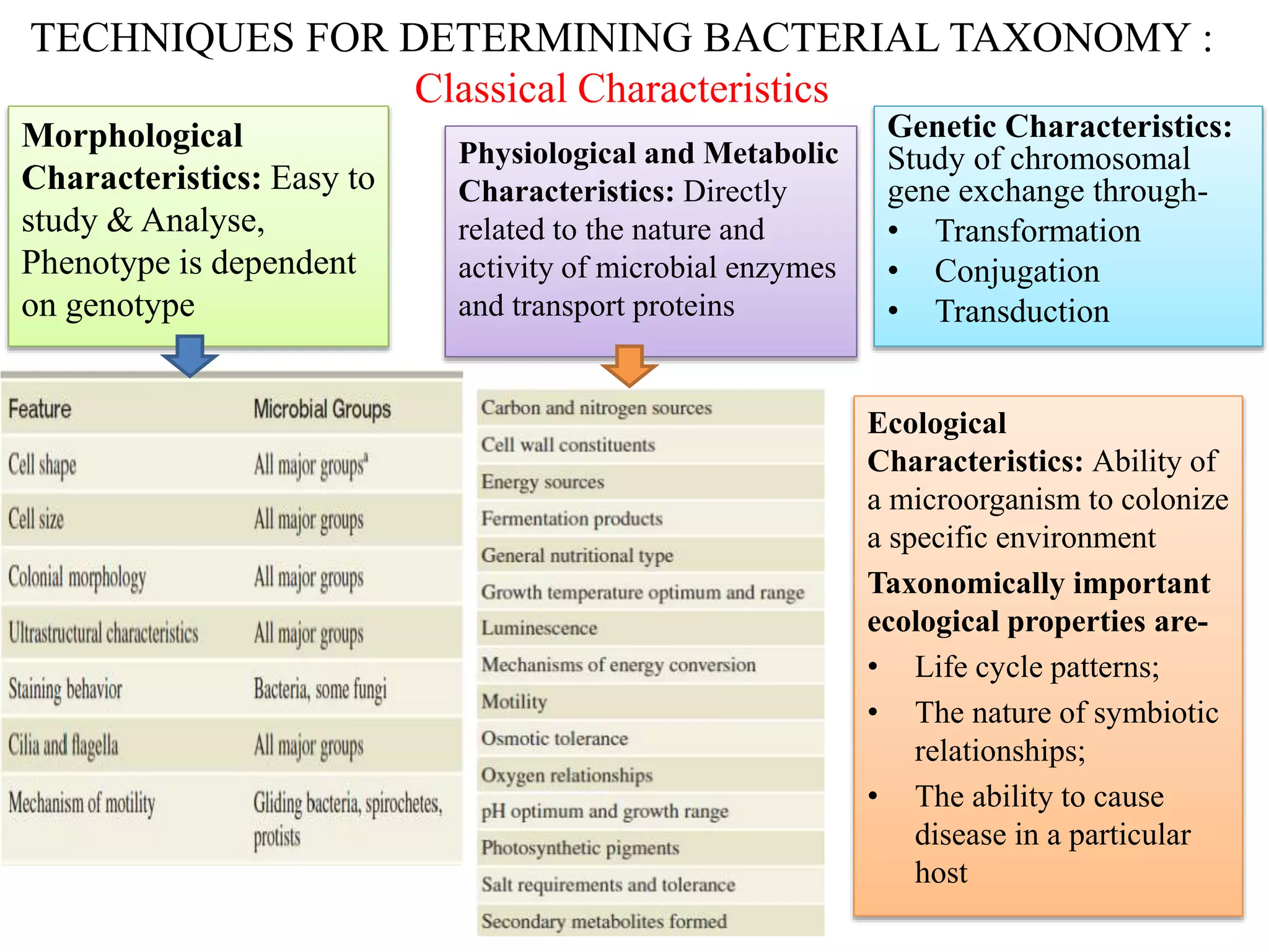 Bacterial Taxonomy | PPTX