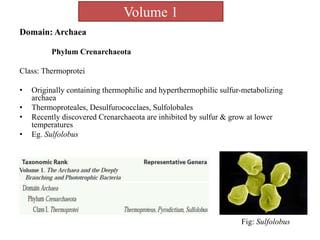 Bacterial Taxonomy | PPTX