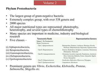 Bacterial Taxonomy | PPTX