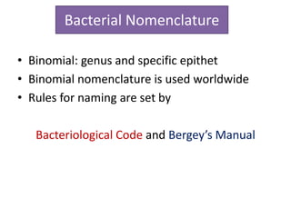 Bacterial Taxonomy | PPTX