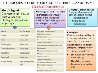 Bacterial Taxonomy | PPTX
