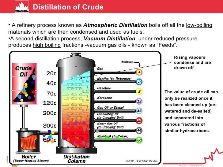 My Base Oil And Fundamentals Basic