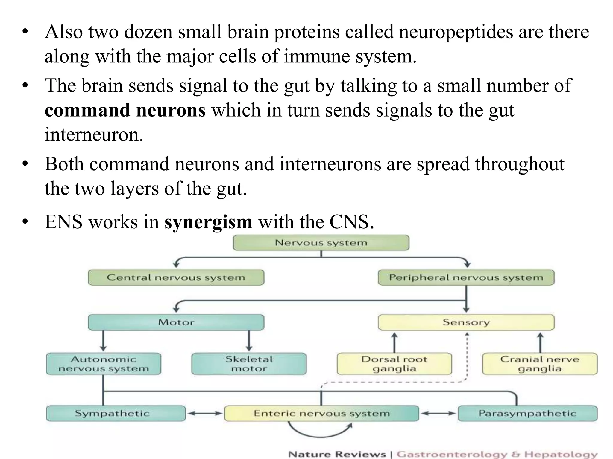 CLINICAL ASPECTS OF BASTI AND ITS MODE OF ACTION | PPTX