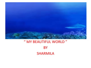 My Beautiful World | PPT