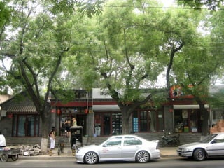My Beijing Visual Diary | PPT