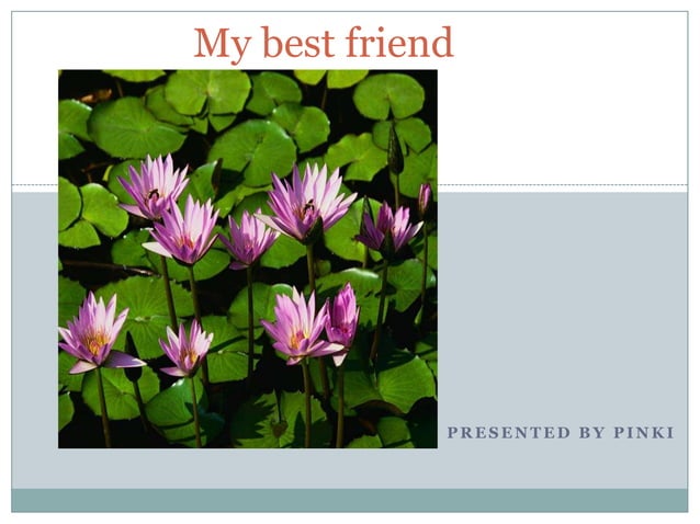 My best friend pinky | PPTX