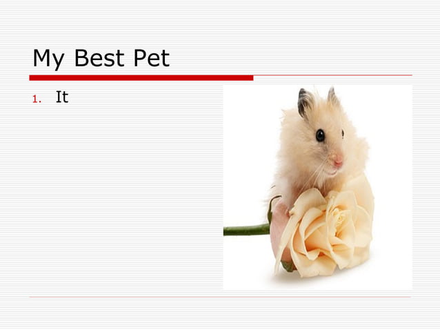 My best pet | PPT