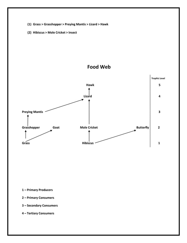 BIOLOGY SBA (LAB) | DOCX
