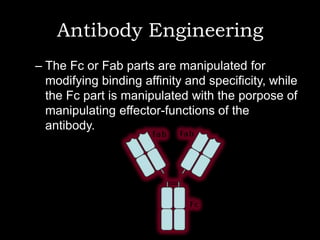 antibody engineering and xenotransplantation | PPTX