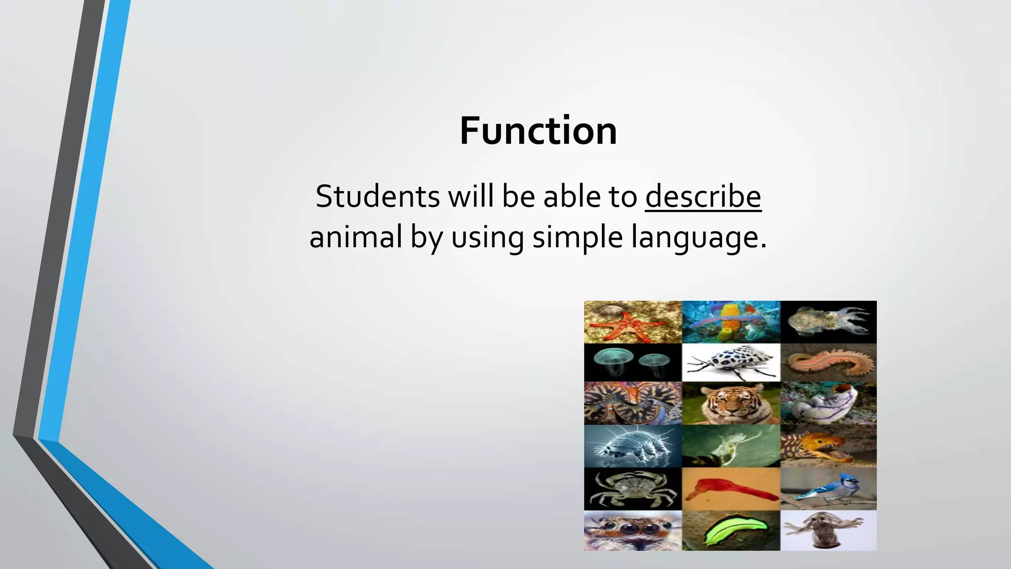 My blog power point describing animals | PPTX