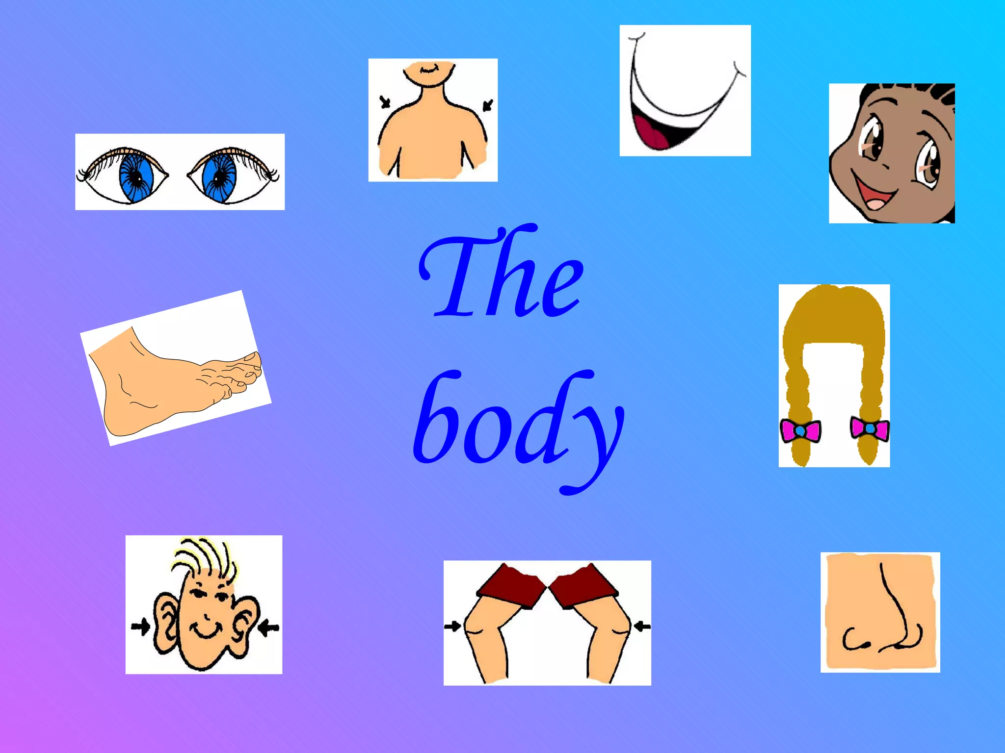 My Body | PPT