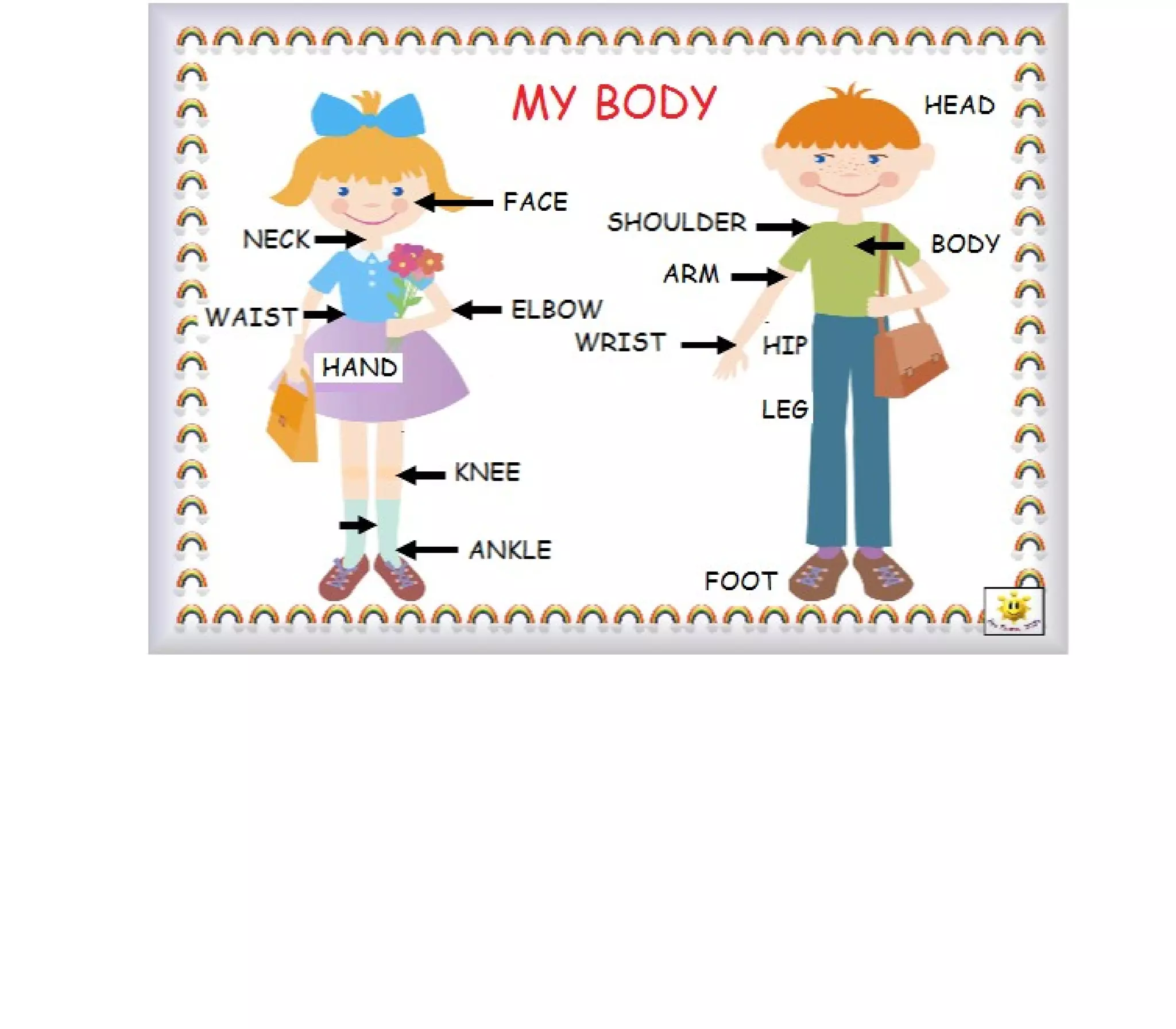 My body | PPT