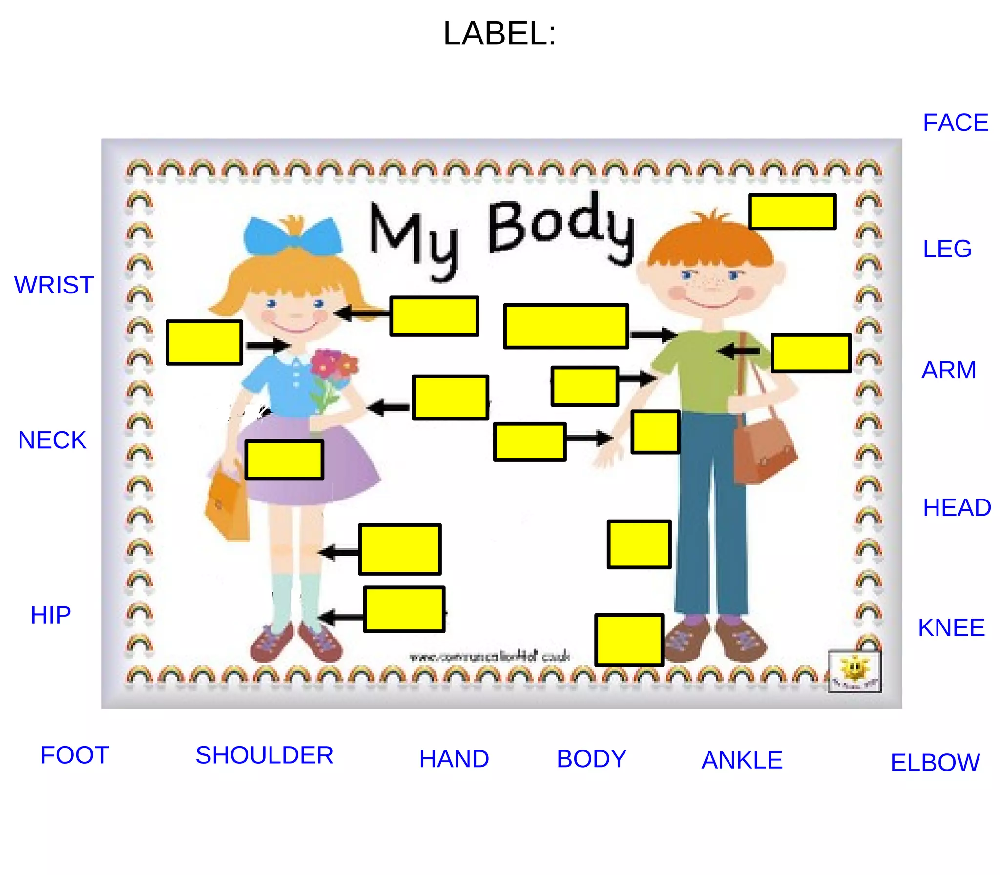 My body | PPT