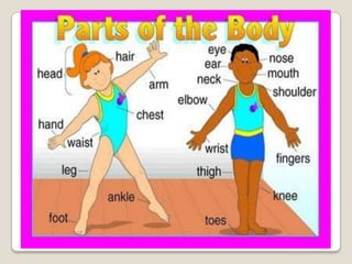 My body | PPT