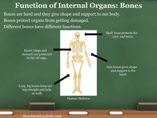 Environmental Science (EVS) : Body Parts (Class II) | PDF
