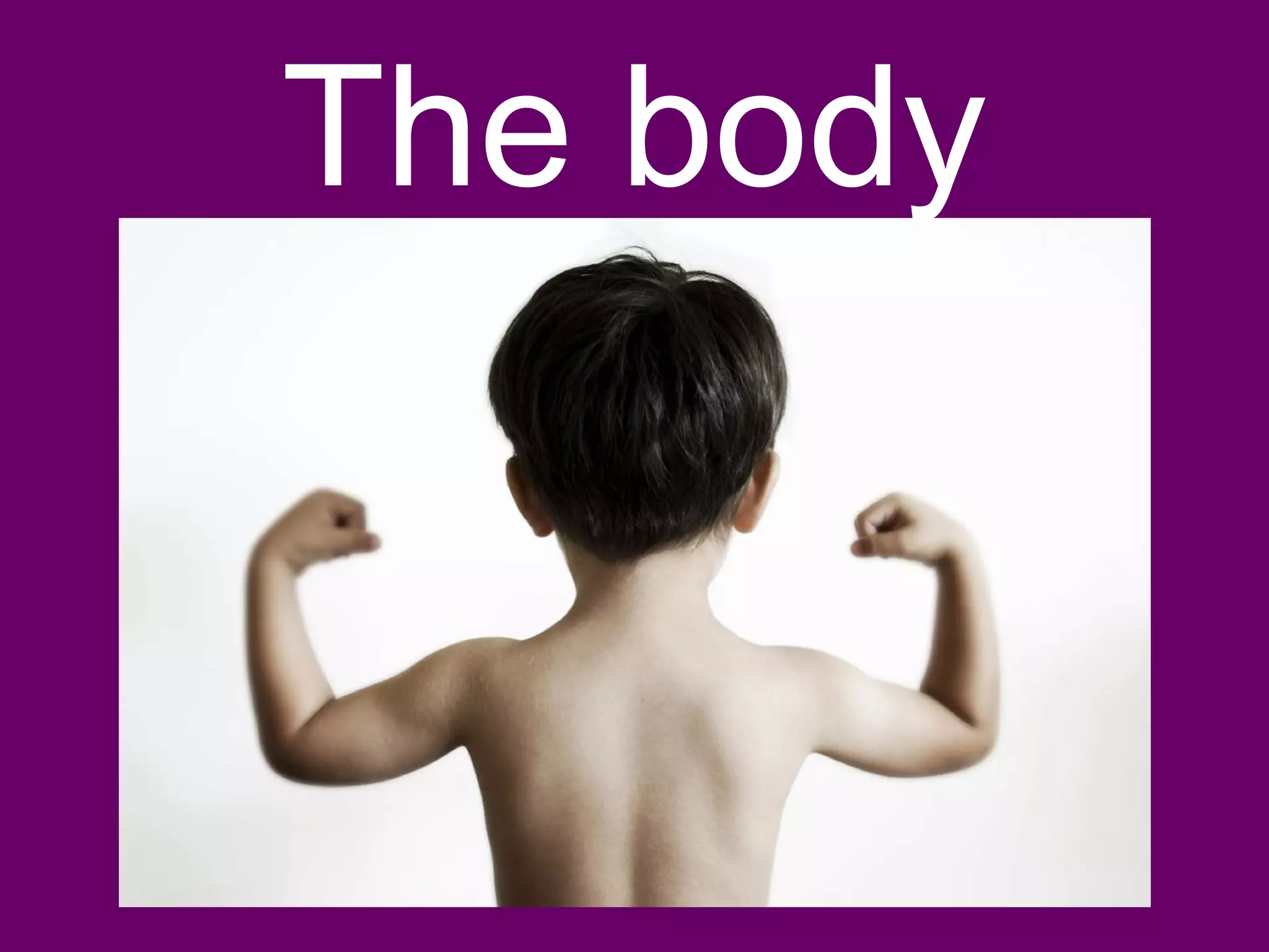 My body | PPT
