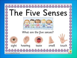 My body | PPT | Death, Injury, or Military Conflict | Sensitive Topics