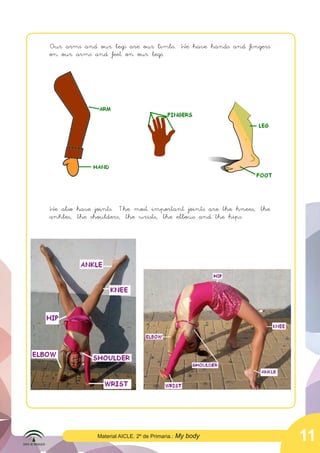 My body | PDF
