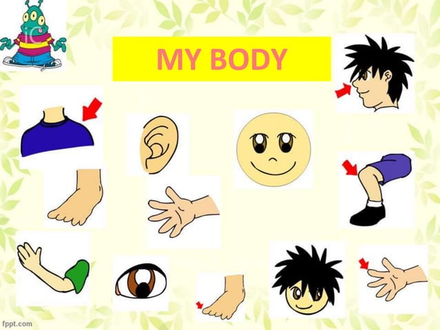 my body.pptx