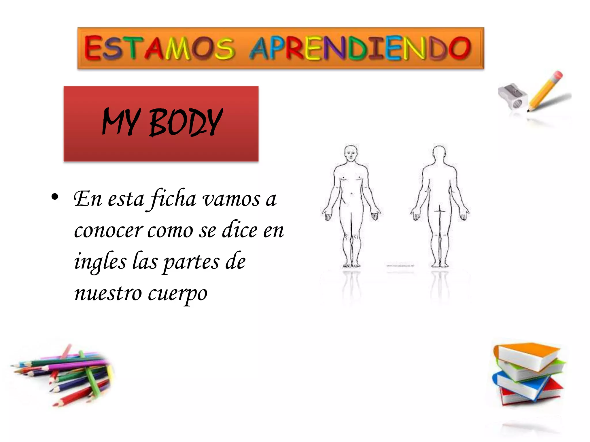 My body mi cuerpo - | PPTX