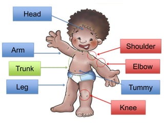 My body and head | PPTX