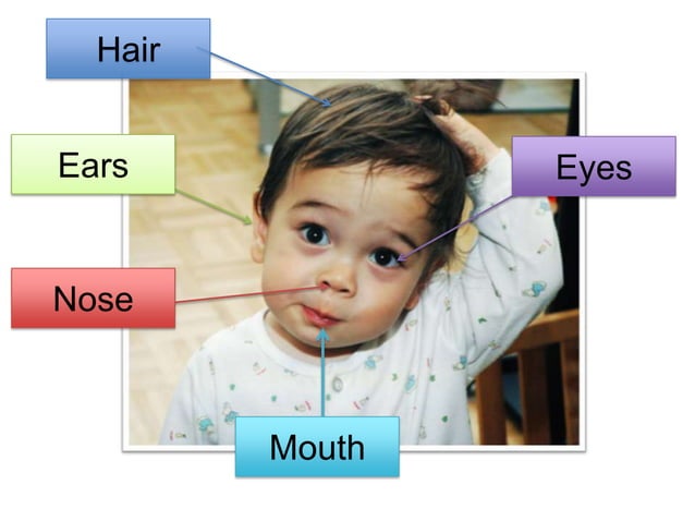 My body and head | PPT