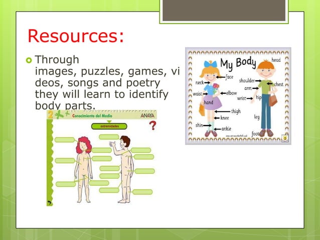 My body parts | PPTX