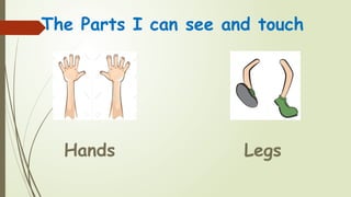 My Body Parts, Human body parts in english | PPT