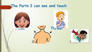 My Body Parts, Human body parts in english | PPT