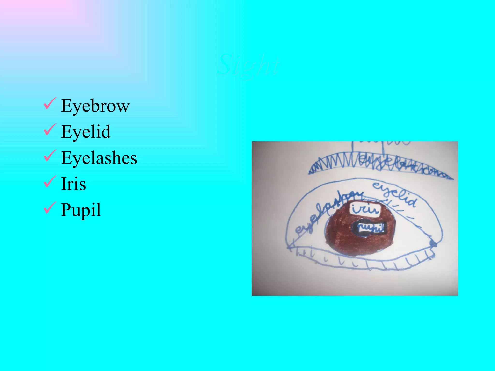 My body patricia ridao | PPS | Death, Injury, or Military Conflict ...