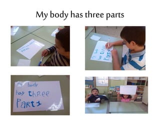 My body powerpoint | PPTX