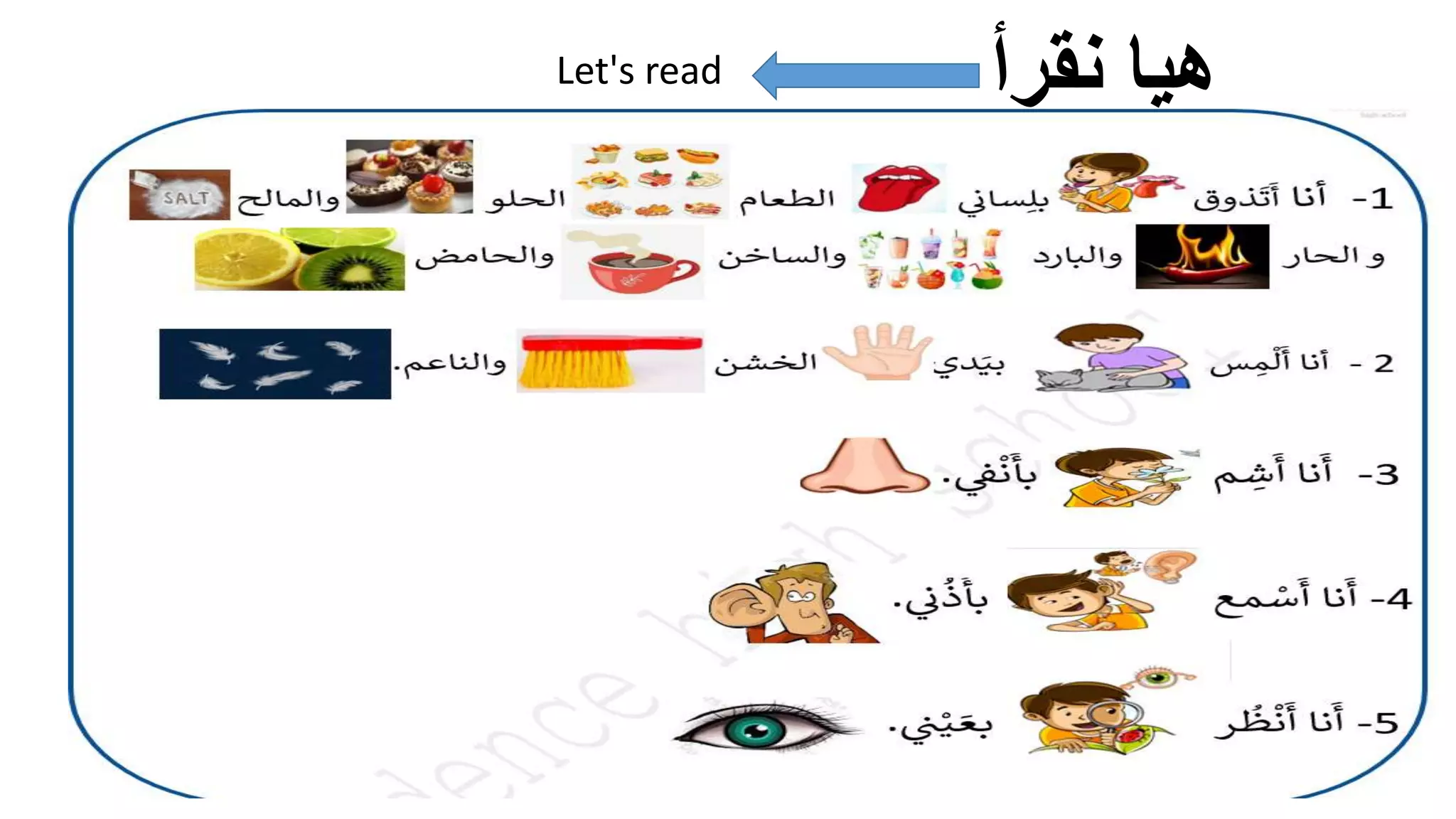 my body reading.pptx